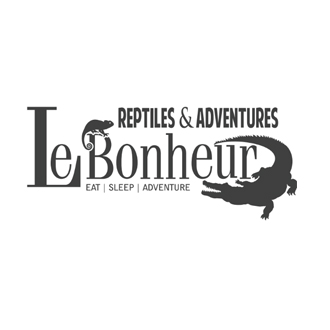 Spur Kids Party for 10 or 15 Kids at Rodeo Spur! Includes: Kids Meals ...